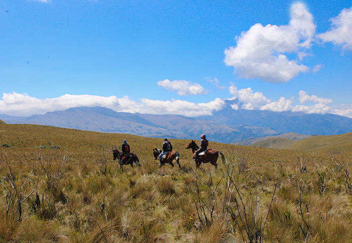 Piñán, sitio emblemático que todo biólogo y apasionado a la naturaleza ...